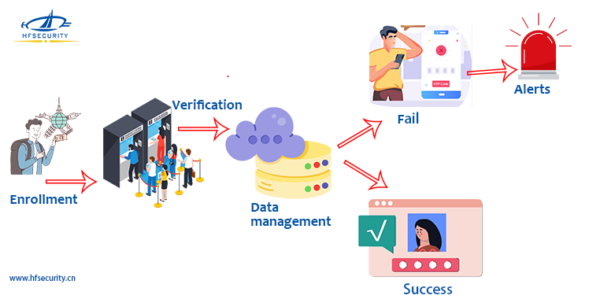 biometric Border Control System - HFSecurity biometric solution